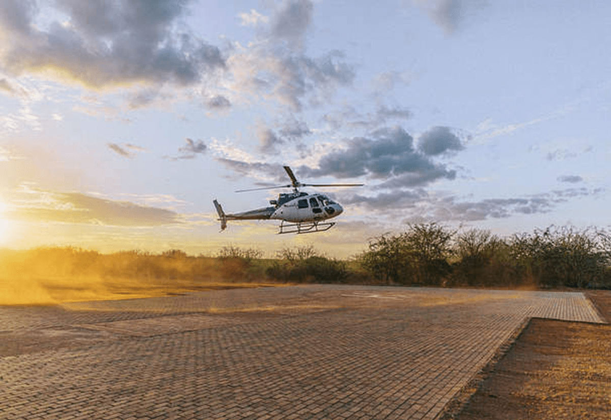 Sheldrick Wildlife trust - AFRICA's NEXUS